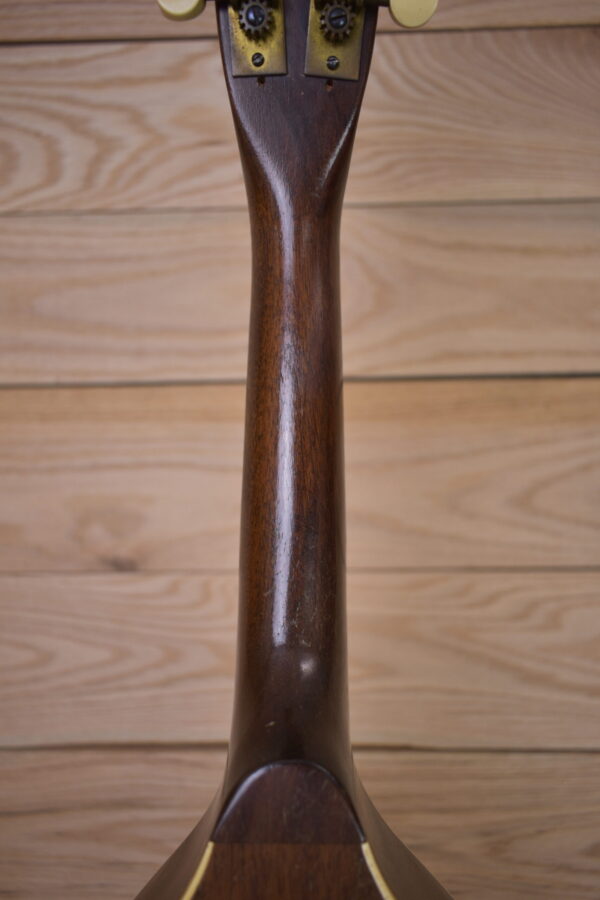 Regal Mandolin 1920s - Natural - The Loft at Lay's Guitar Shop