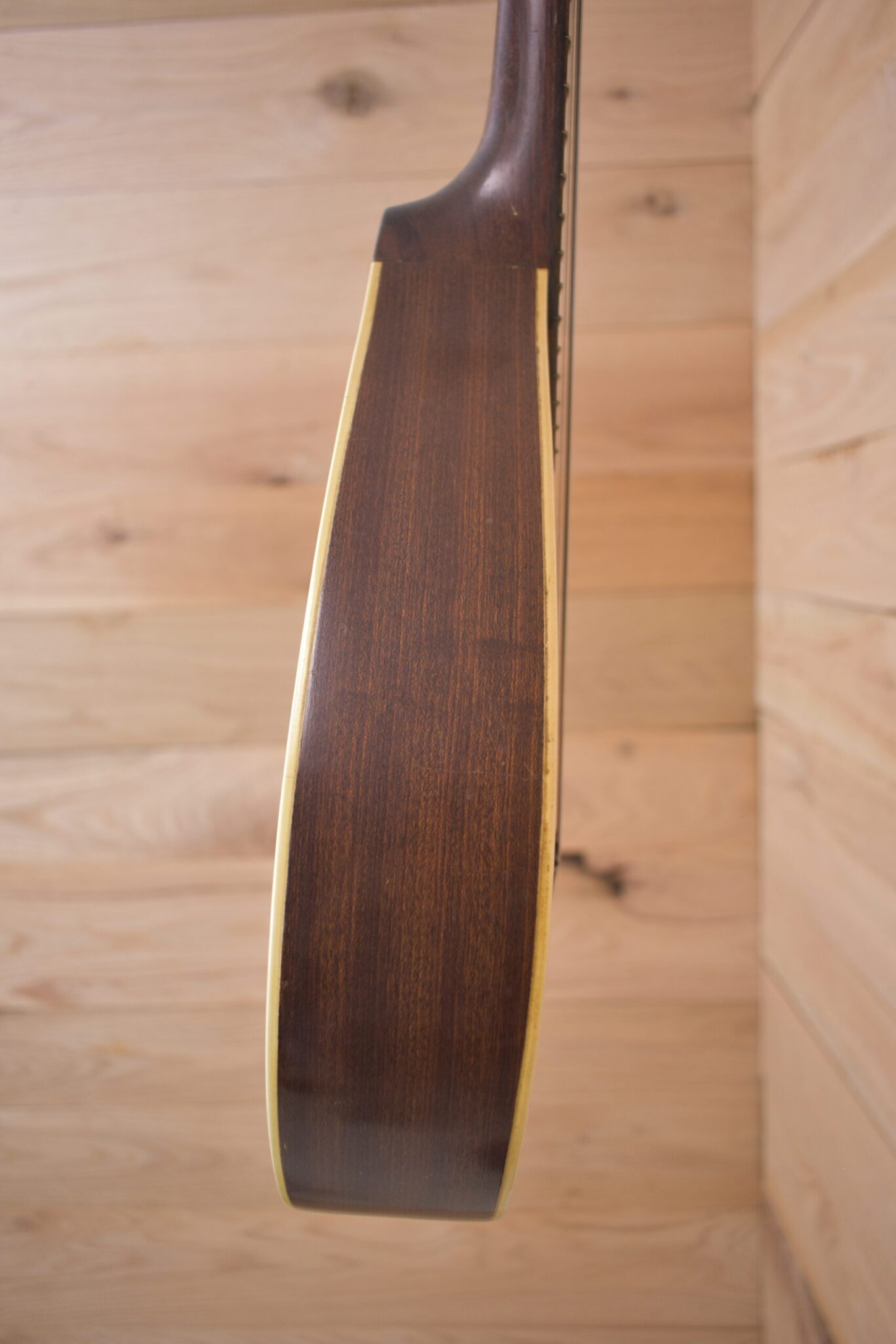 Regal Mandolin 1920s - Natural - The Loft at Lay's Guitar Shop